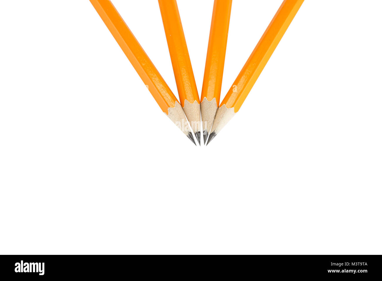 Yellow pencils with eraser on the white background Stock Photo - Alamy