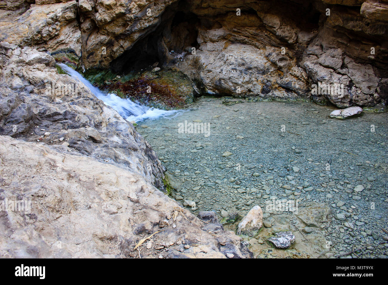 Nature in the Wadi Bokek reserve of the Judean desert in Israel Stock ...