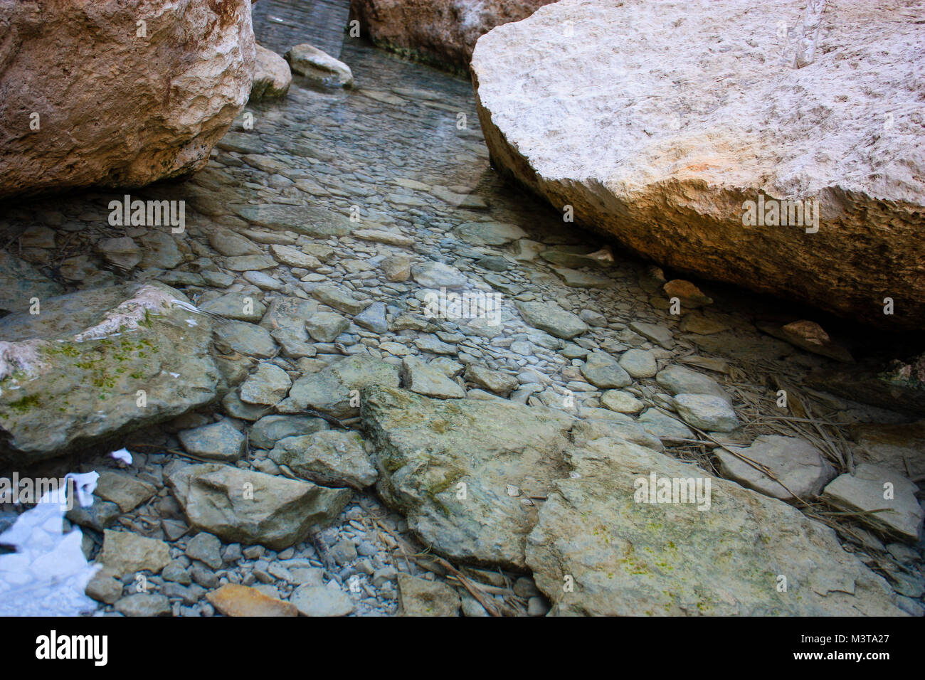Nature in the Wadi Bokek reserve of the Judean desert in Israel Stock ...