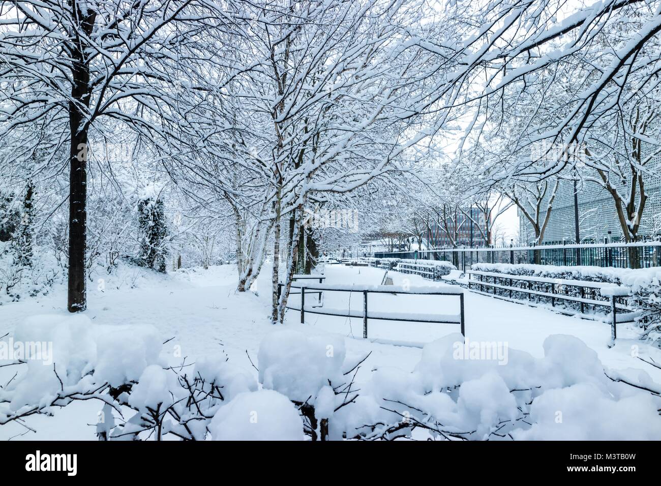 Winter snow in Paris City and its parks in France Stock Photo - Alamy