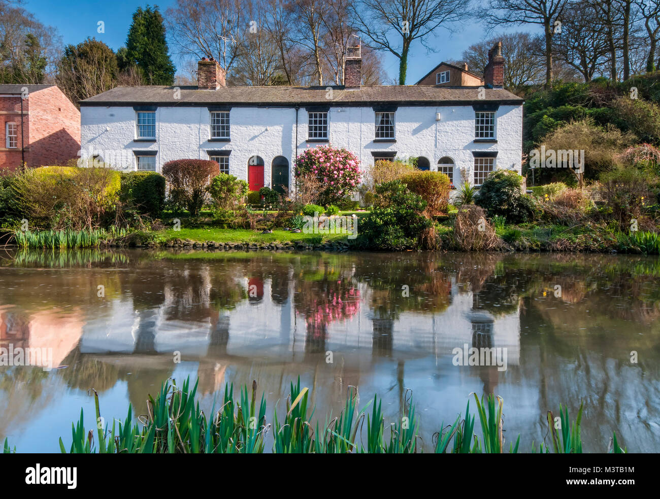 Beautiful lymm hi-res stock photography and images - Alamy