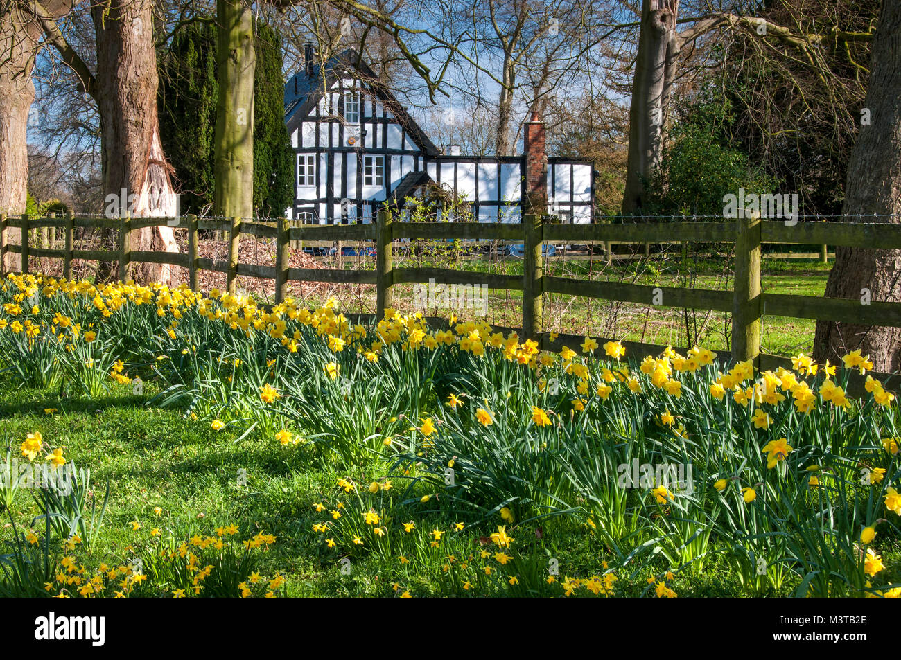 The Old Rectory black and white timber framed house in spring ...