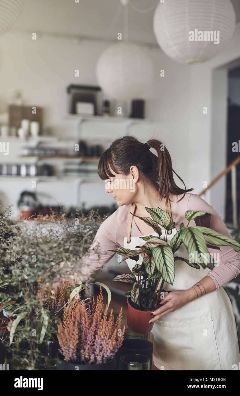 Young female florist busy working in her flower shop arranging potted ...