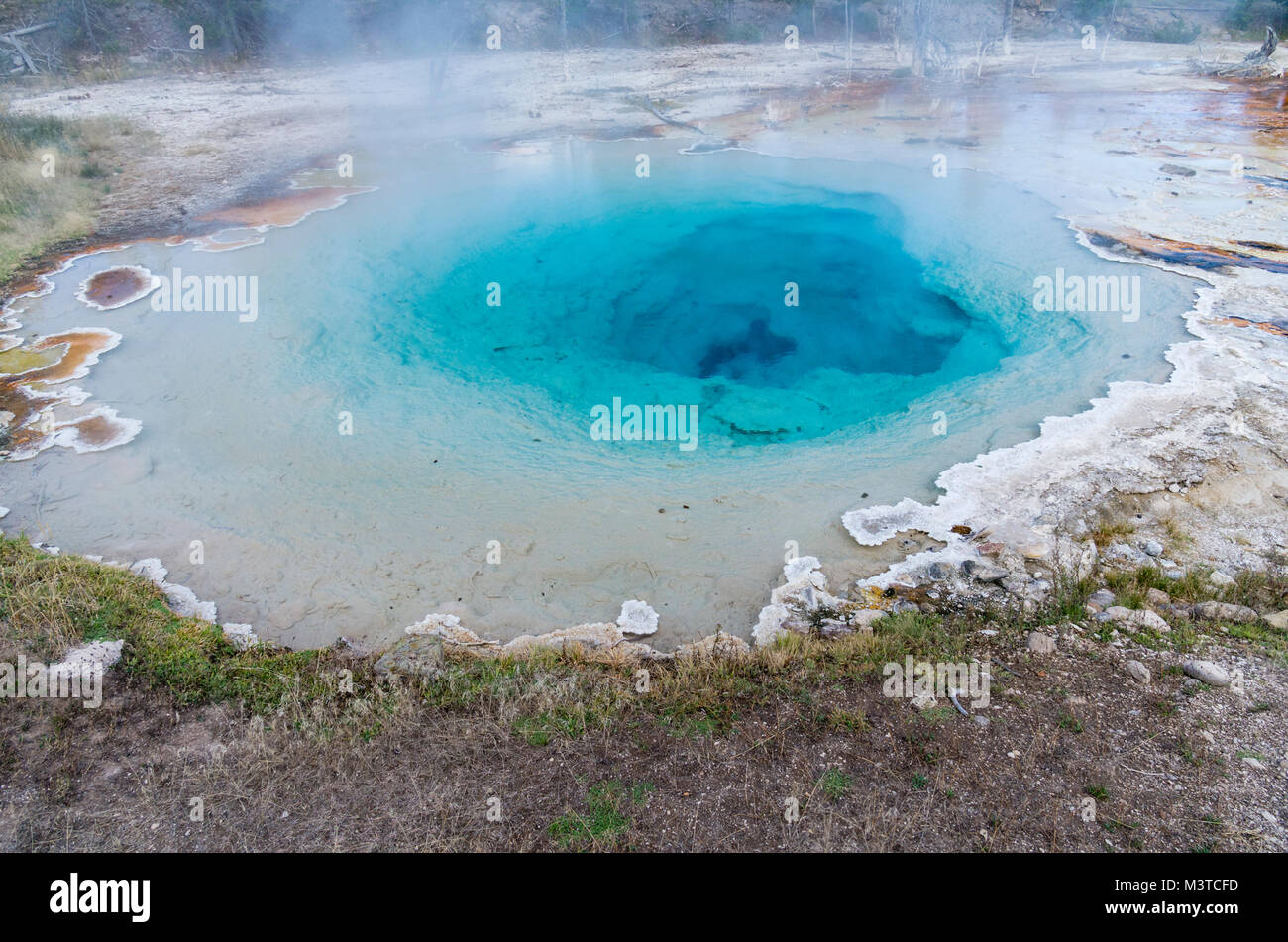 Silex Spring near the Fountain Paint Pots thermal area. Yellowstone ...