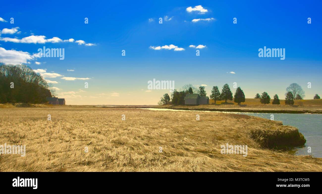 Marsh grass cape cod hi-res stock photography and images - Alamy