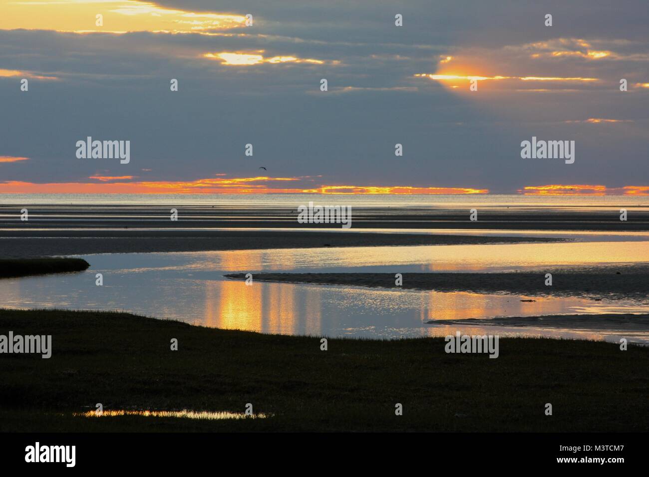 Season cape cod hi-res stock photography and images - Alamy