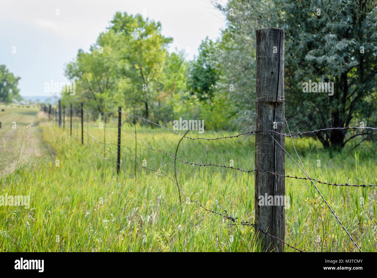 Tangled fence wire hi-res stock photography and images - Alamy