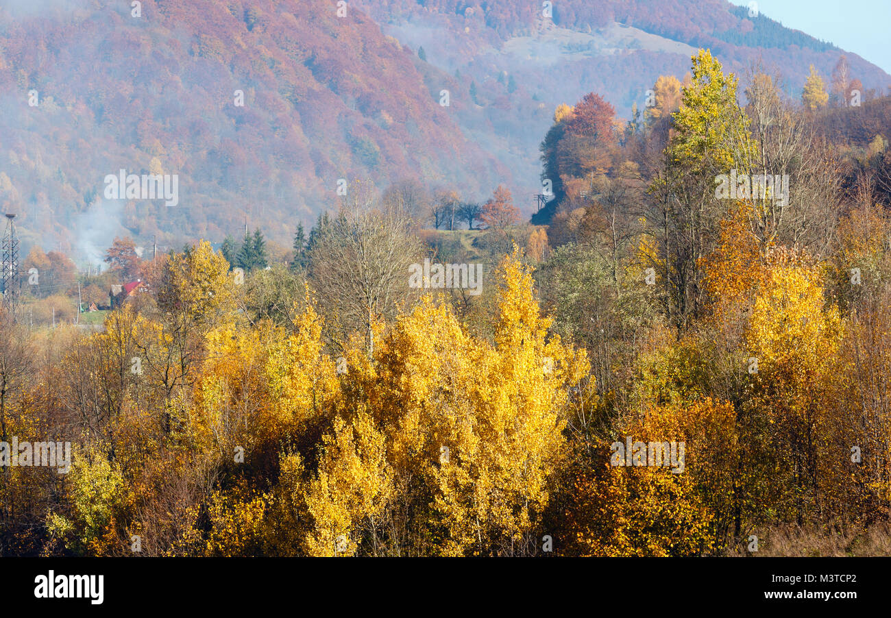 Autumn Carpathian Mountains landscape with multicolored trees on slope ...