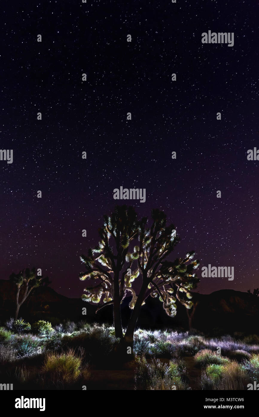 Stars park hi-res stock photography and images - Alamy