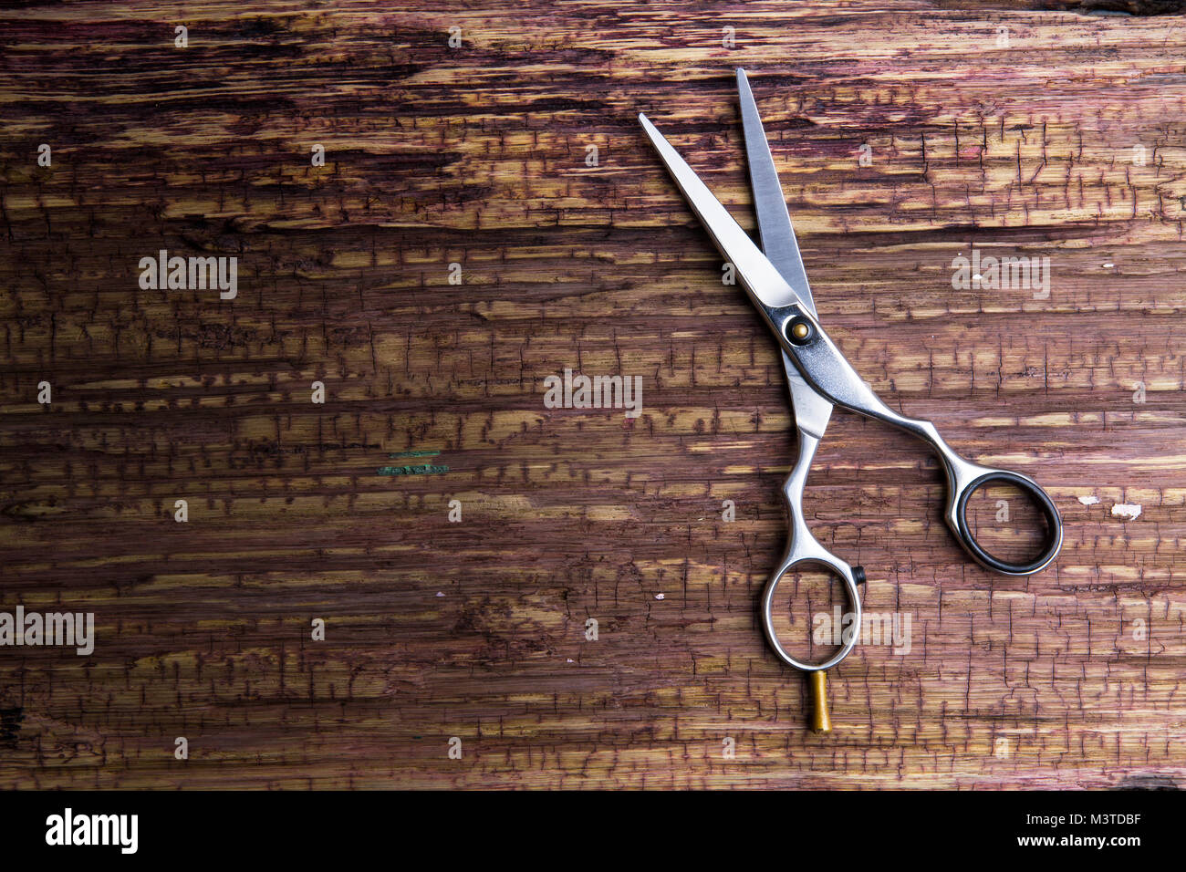 Stylish Professional Barber and salon, Hair scissors, Haircut ...