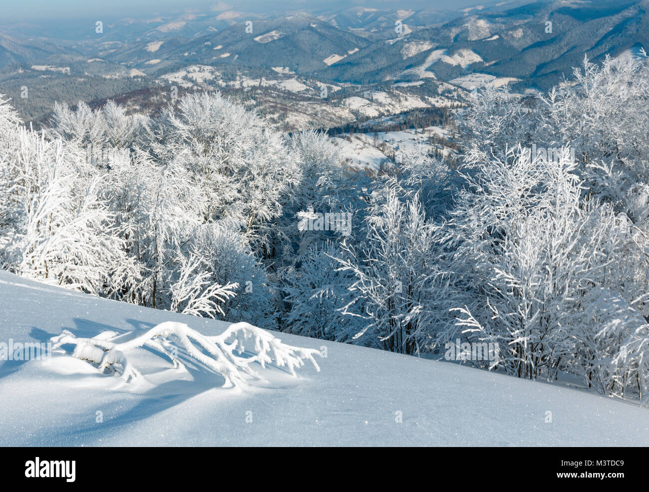 Winter calm mountain landscape with beautiful frosting trees and ...