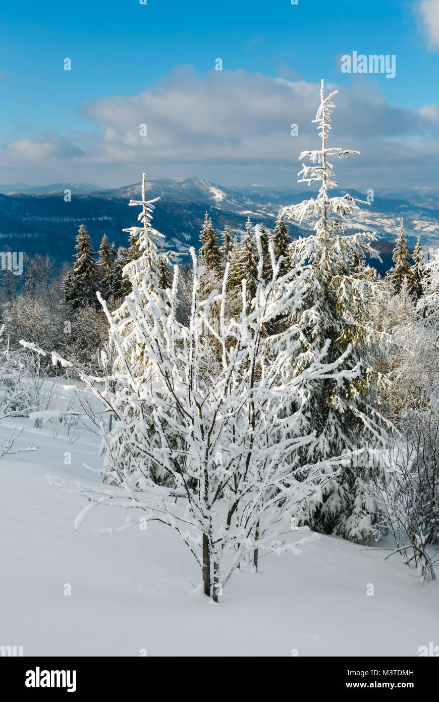 Winter calm mountain landscape with beautiful frosting trees and ...