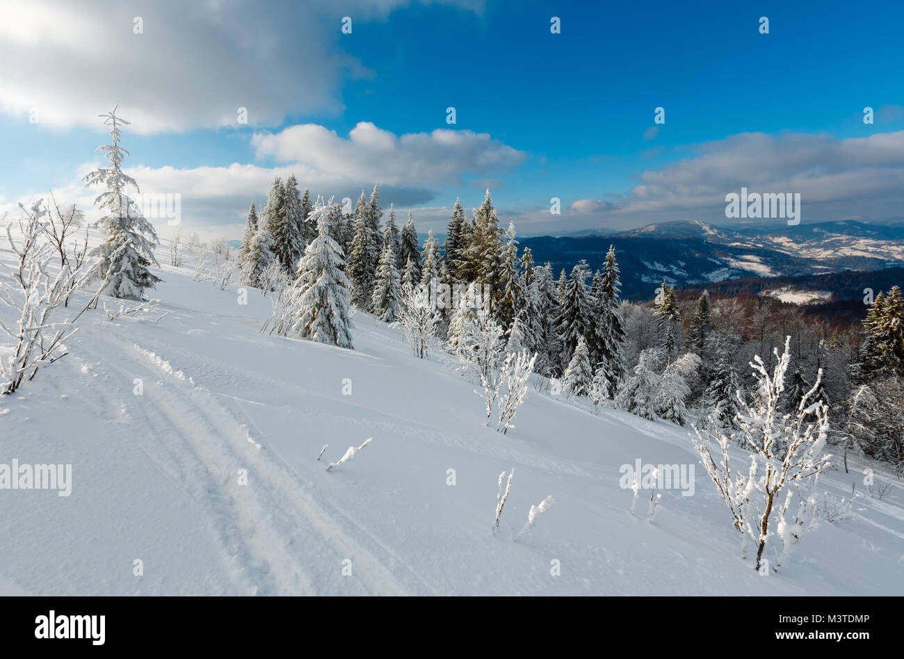 Winter calm mountain landscape with beautiful frosting trees and ski ...