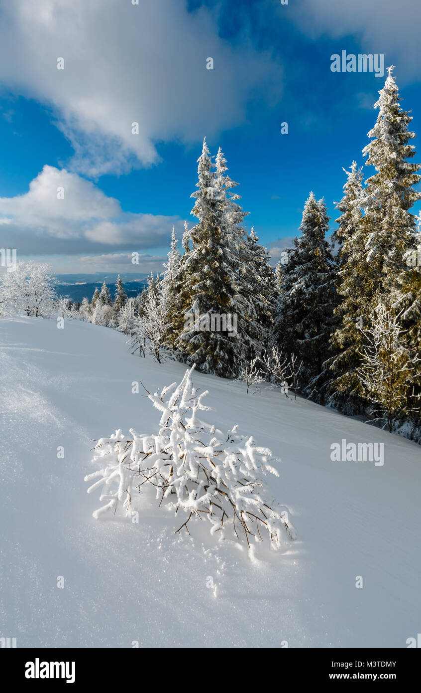 Winter calm mountain landscape with beautiful frosting trees and ...