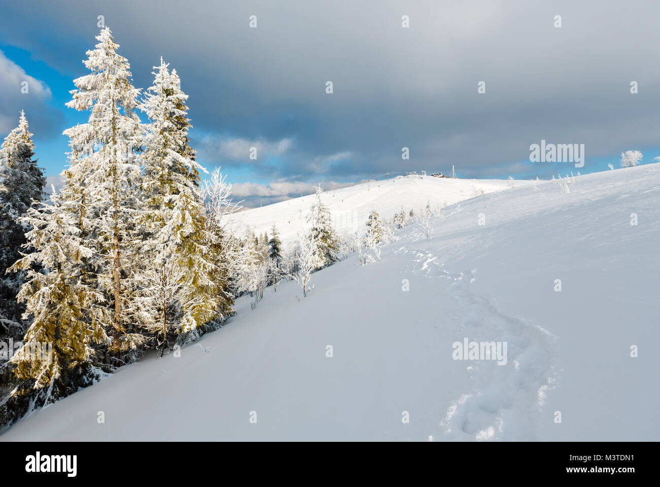 Winter calm mountain landscape with beautiful frosting trees and ...