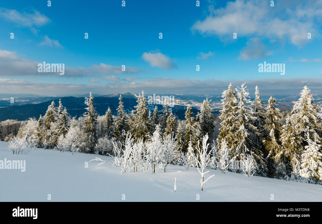 Winter calm mountain landscape with beautiful frosting trees and ...