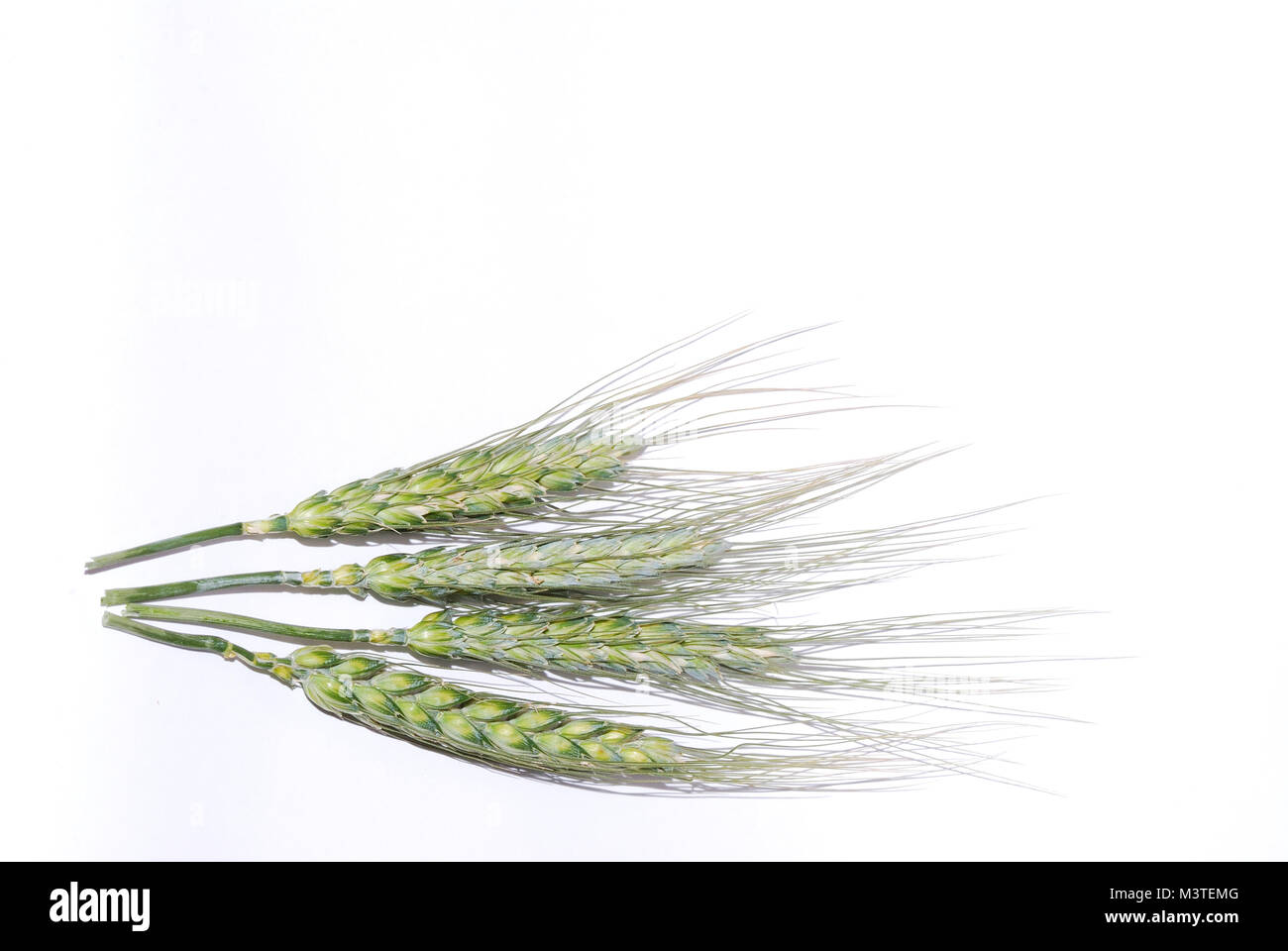 Summer season scenic Cut Out Stock Images & Pictures - Alamy