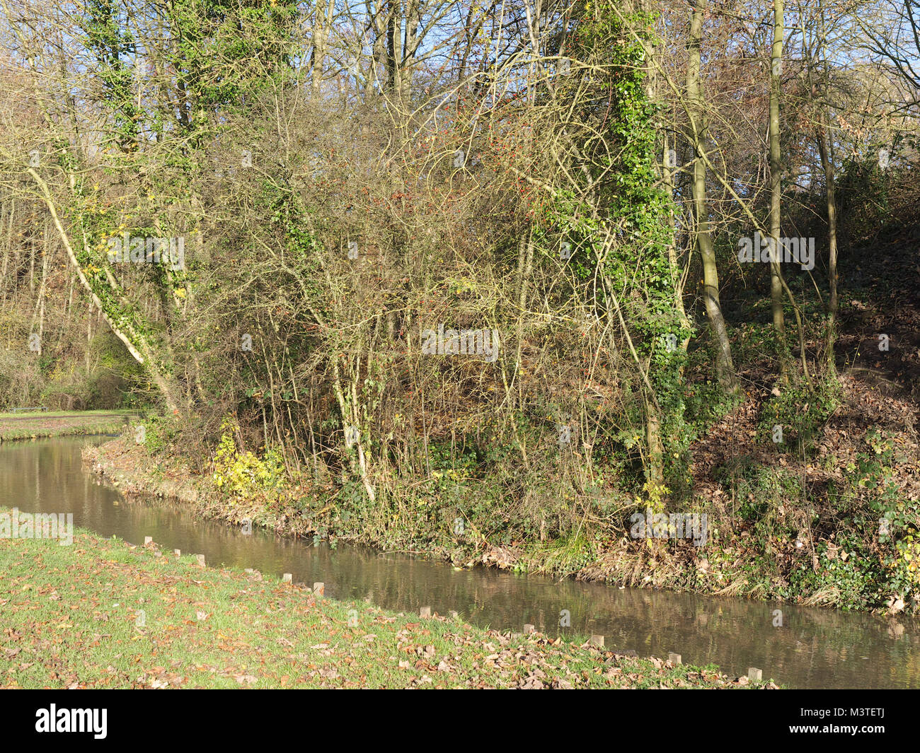 River and trees hubbards Hills louth Stock Photo - Alamy