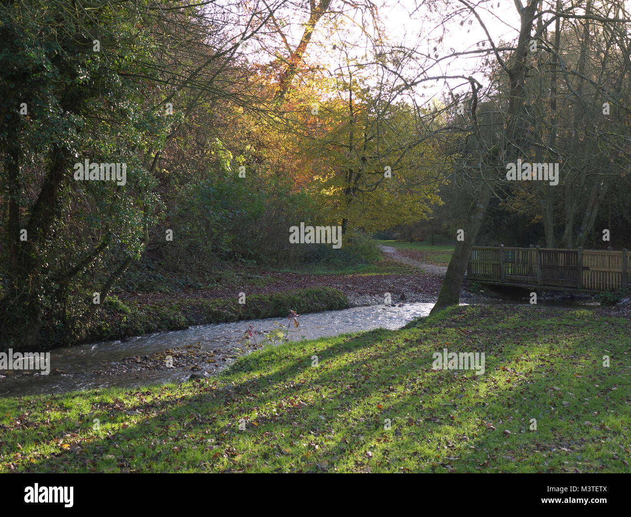 River and trees Hubbards Hills Louth Lincolnshire Stock Photo - Alamy
