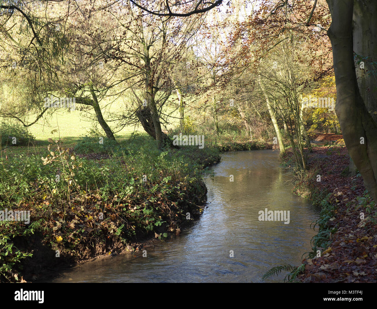 River flowing through Hubbards Hills Louth Stock Photo - Alamy
