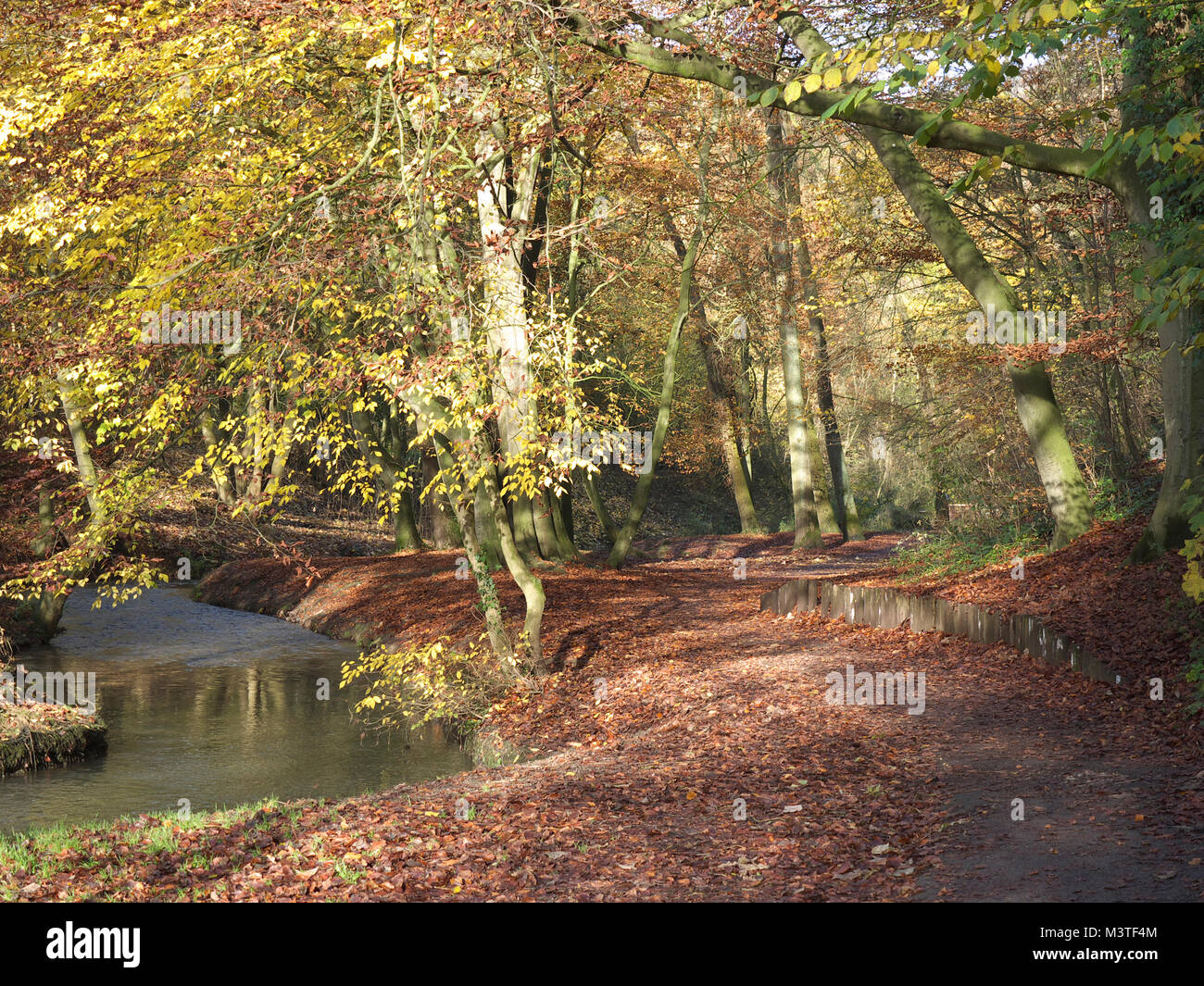 Hubbards river hi-res stock photography and images - Alamy