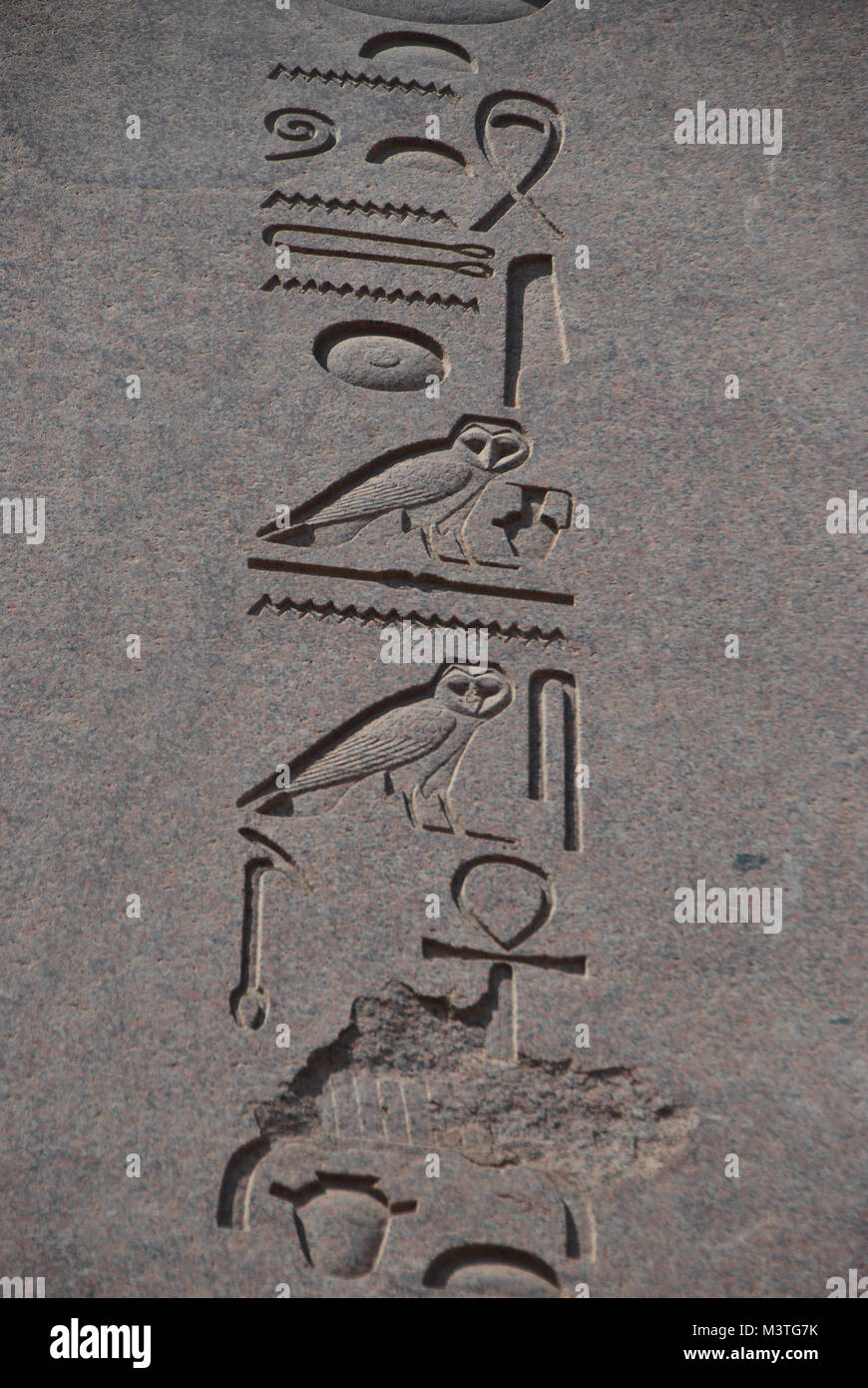 many Egyptian mark and sign on obelisk of stone Stock Photo - Alamy