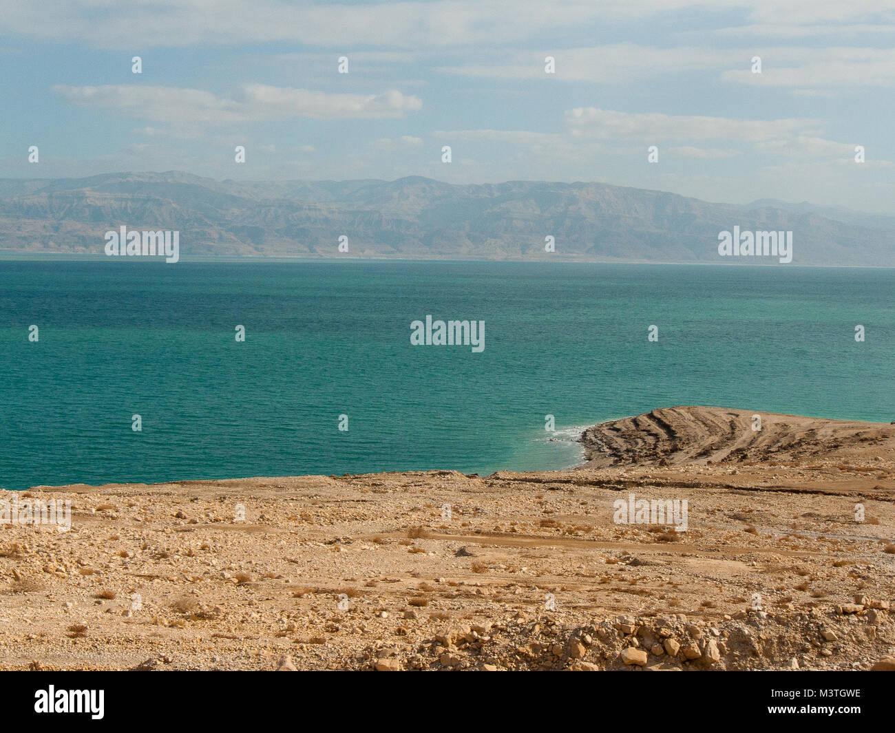 Nature and landscape of the Dead sea in Israel Stock Photo - Alamy