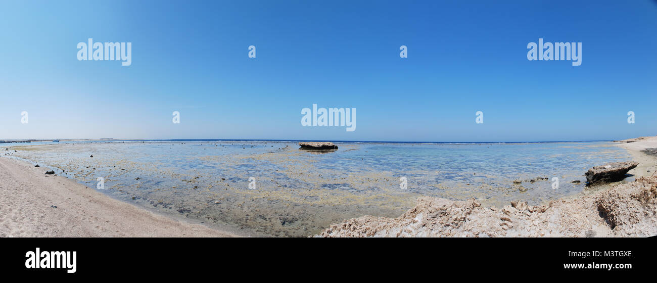 view on the beach at low tide in egypt red sea panorama Stock Photo - Alamy