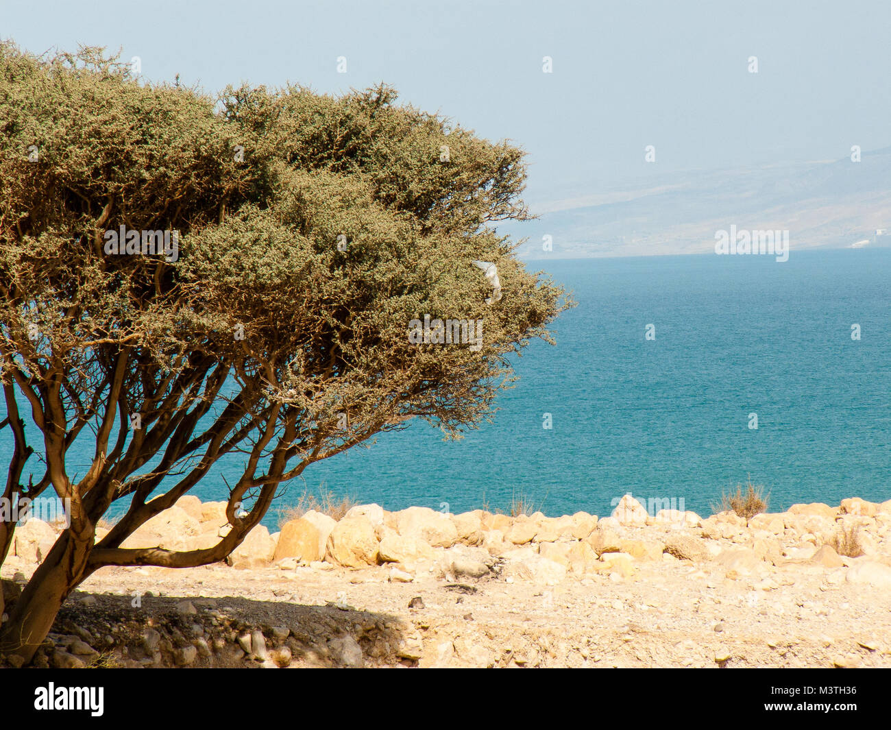 Nature and landscape of the Dead sea in Israel Stock Photo - Alamy