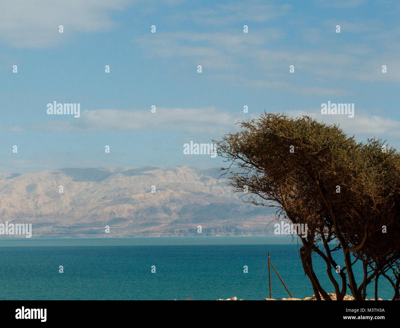 Nature and landscape of the Dead sea in Israel Stock Photo - Alamy