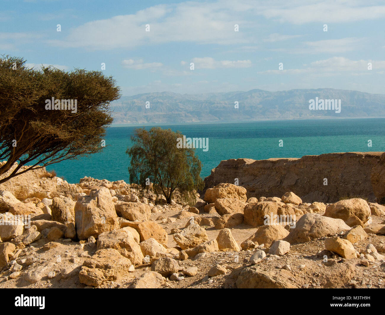 Nature and landscape of the Dead sea in Israel Stock Photo - Alamy