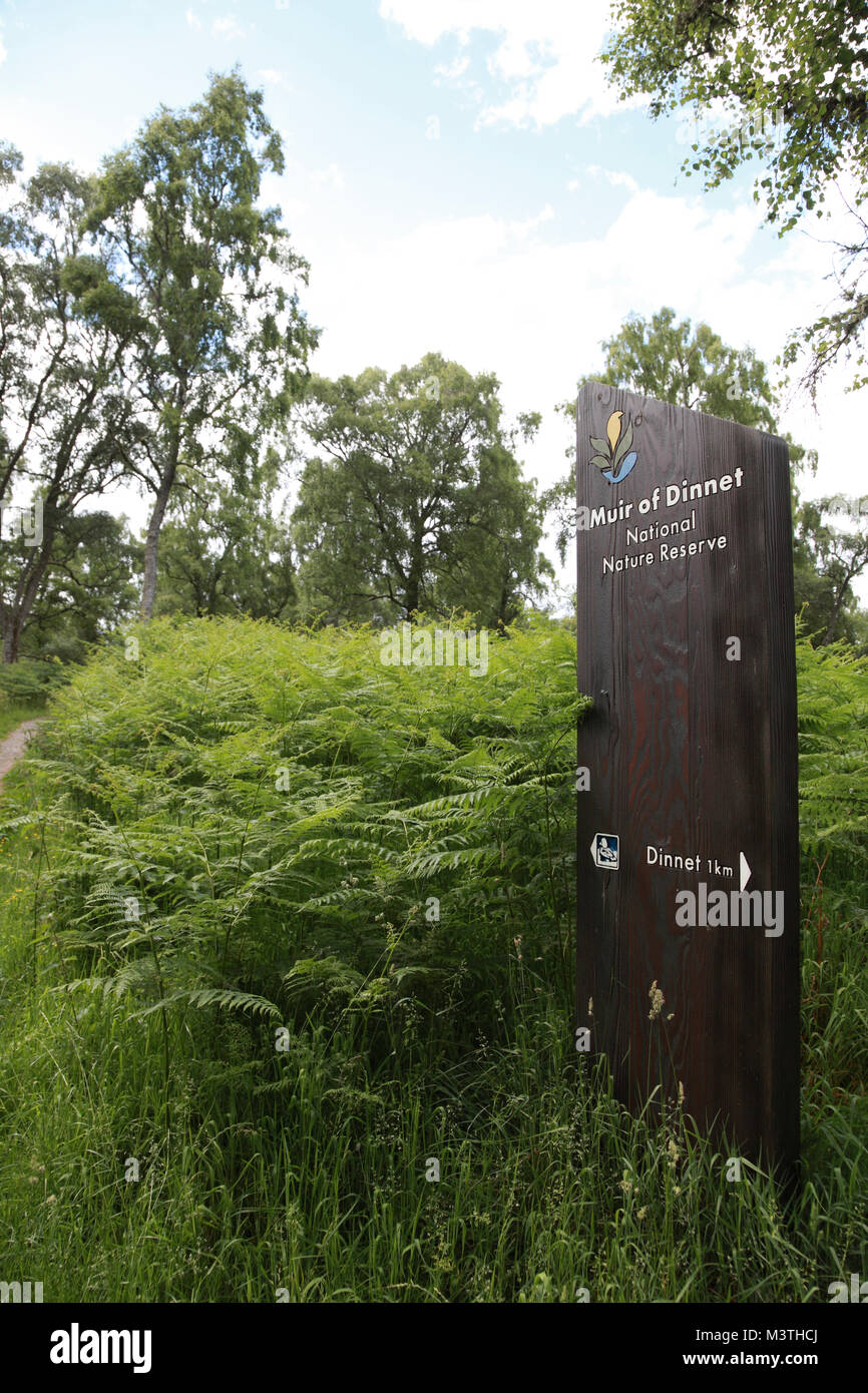 Part of the trail around Loch Kinord in the Muir of Dinnet National ...