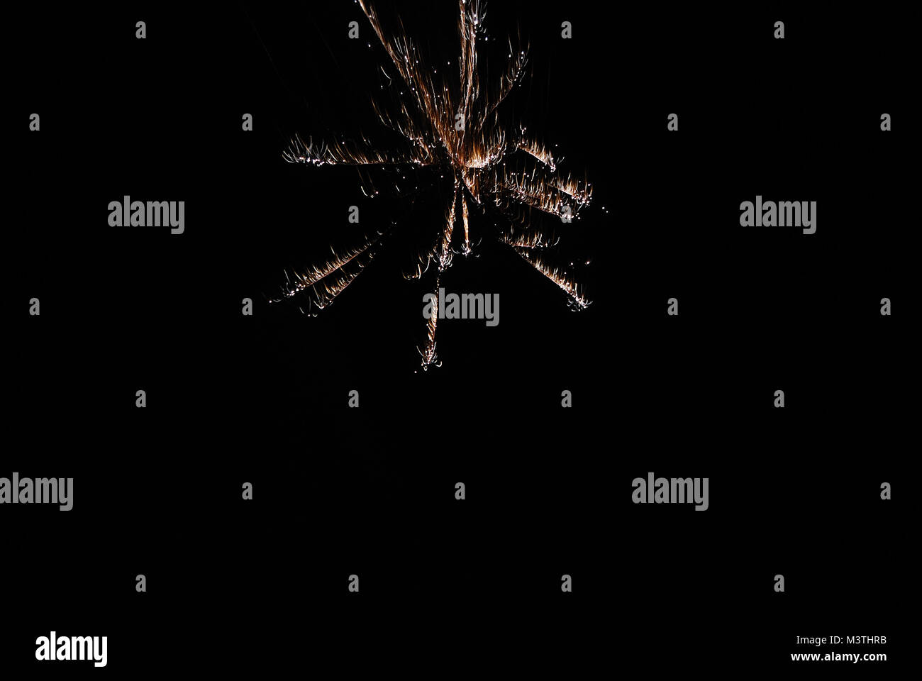 silver explosion at a fireworks night in the new year Stock Photo - Alamy