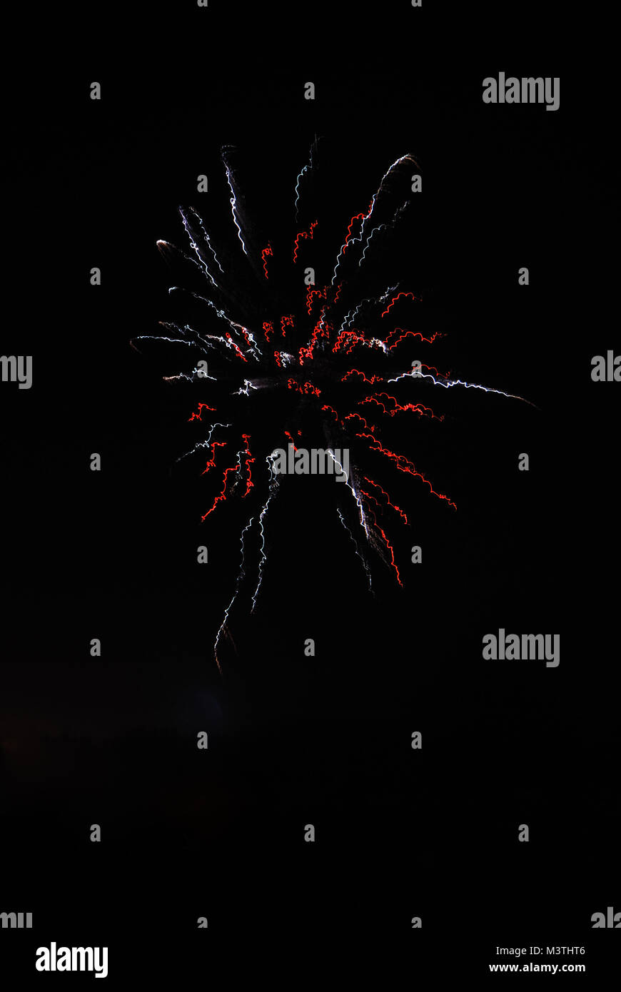 single high explosive in a colorful fireworks in the night new year ...