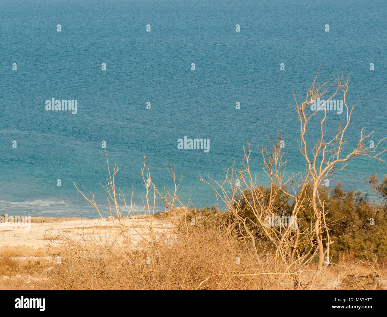 Nature and landscape of the Dead sea in Israel Stock Photo - Alamy