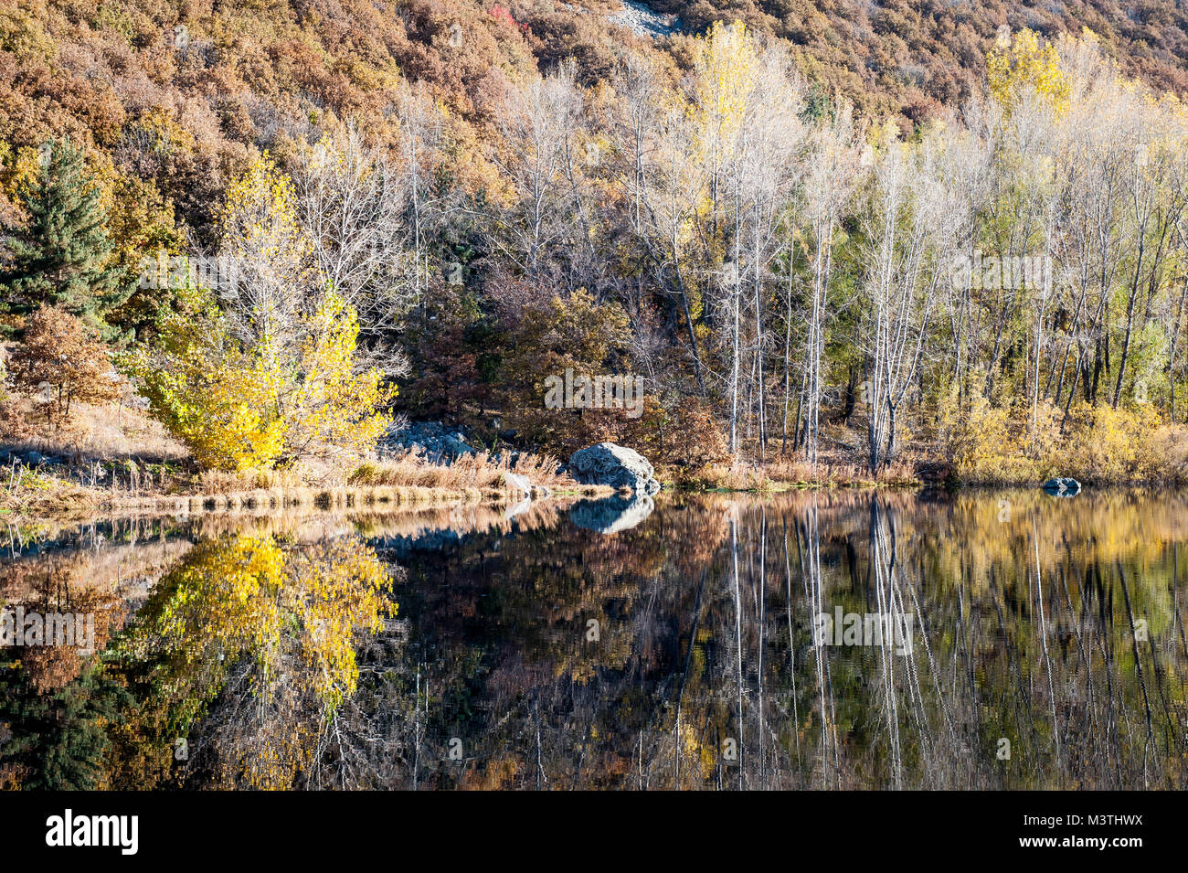Beautiful autumn foliage at the lake of Dzhermuk Stock Photo - Alamy