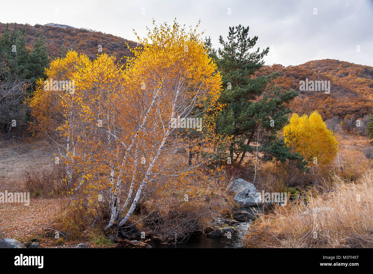 Dzhermuk offers a richness of nature and spa resorts. lovely autumn ...