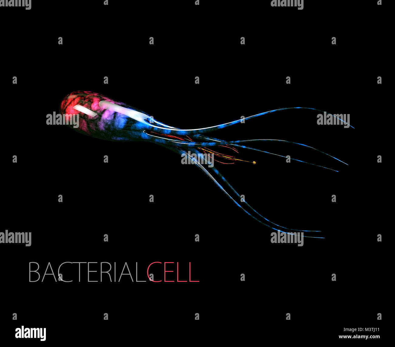 Realistic rendering of blue bacteria, 3d Illustration isolated black ...