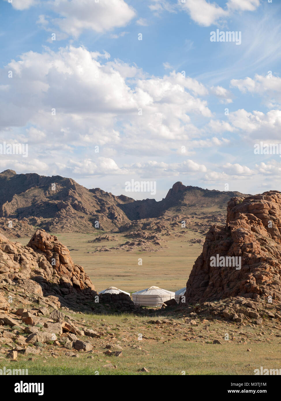 Gazar hi-res stock photography and images - Alamy