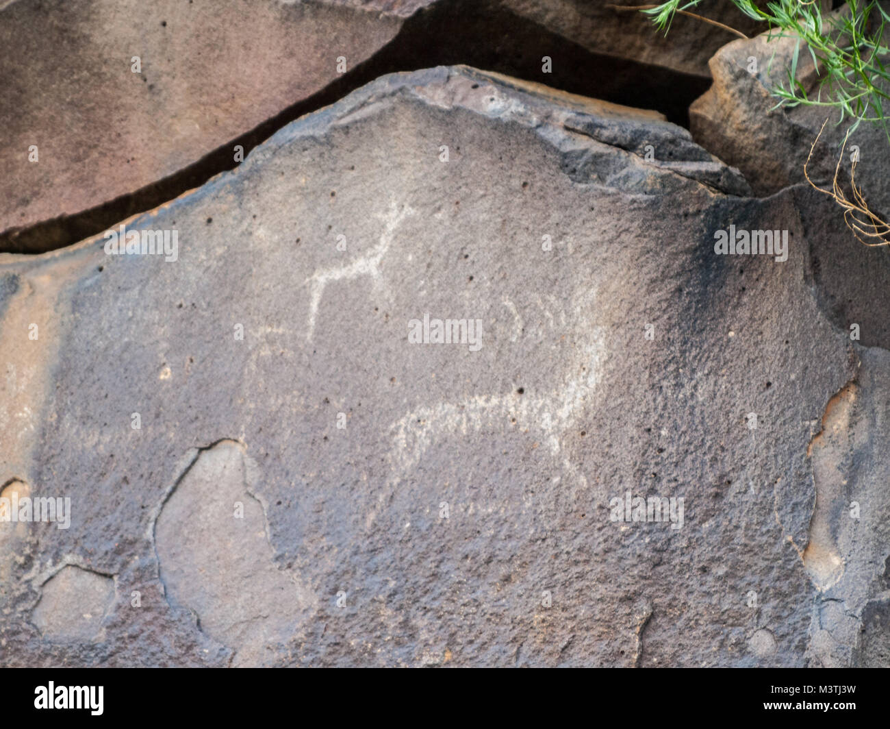 Petroglyphs inscriptions hi-res stock photography and images - Alamy