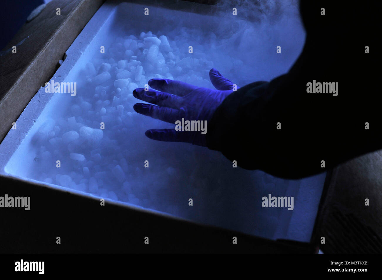 Frozen blood cells hi-res stock photography and images - Alamy