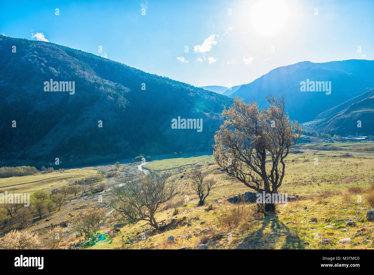beautiful landscape with valley and trees of Caucasus mountain peaks ...