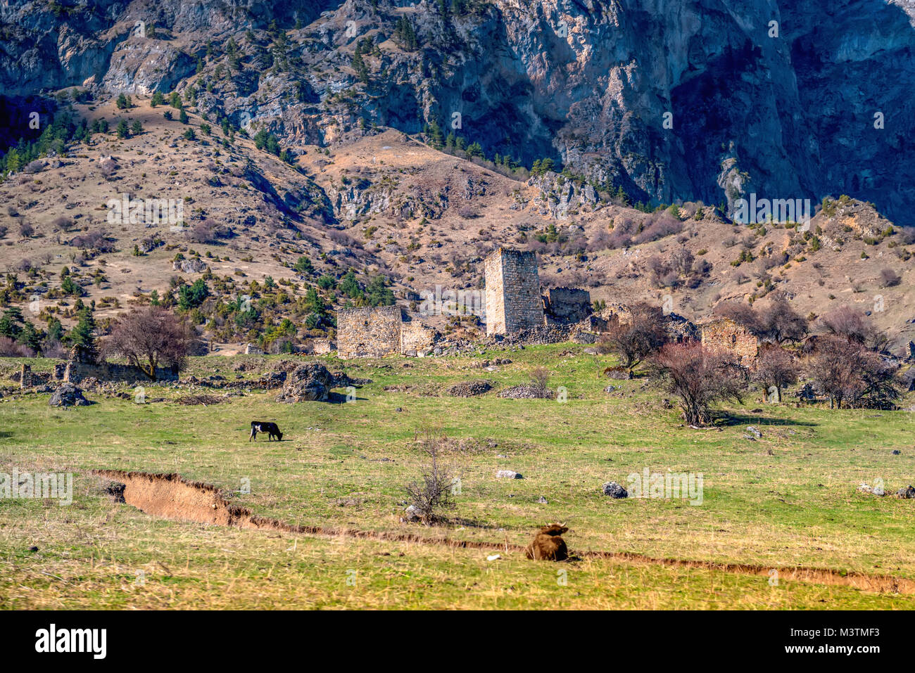 beautiful countryside of ancient towers and ruins in Ingushetia valley ...