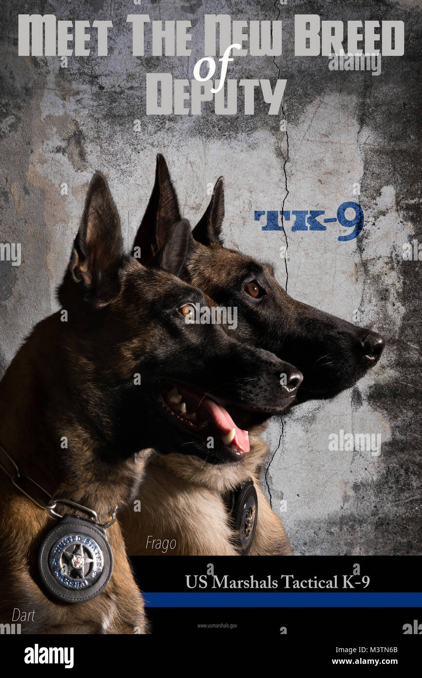 TK-9 Poster 24x36 by U.S. Marshals Service Stock Photo - Alamy