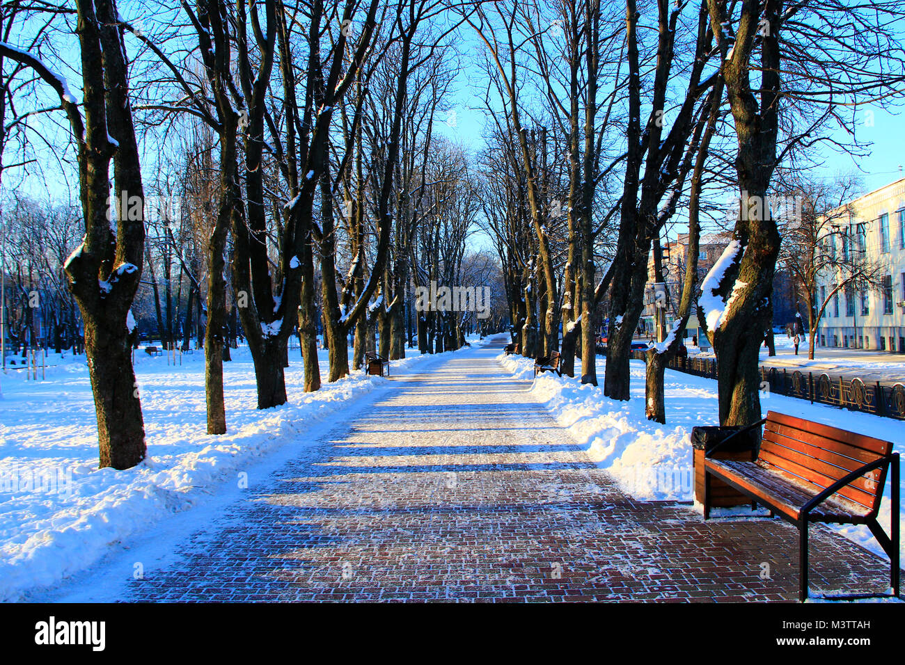 a bench in the cold winter city park Stock Photo - Alamy