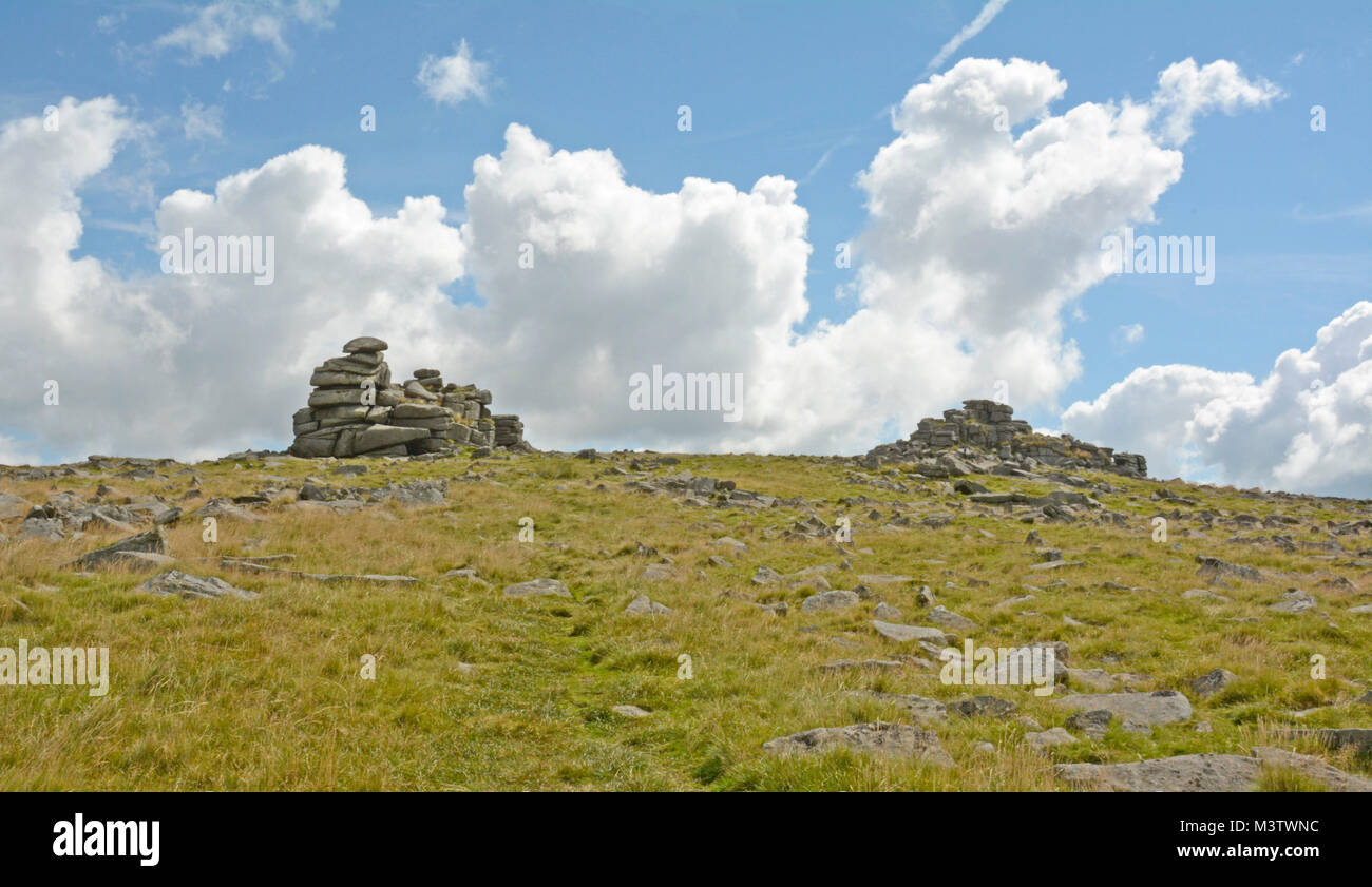 Great Staple Tor, Dartmoor National Park, Devon Stock Photo - Alamy