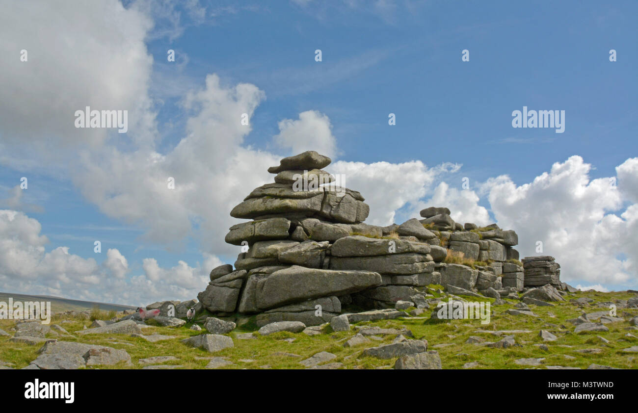 Great Staple Tor, Dartmoor National Park, Devon Stock Photo - Alamy