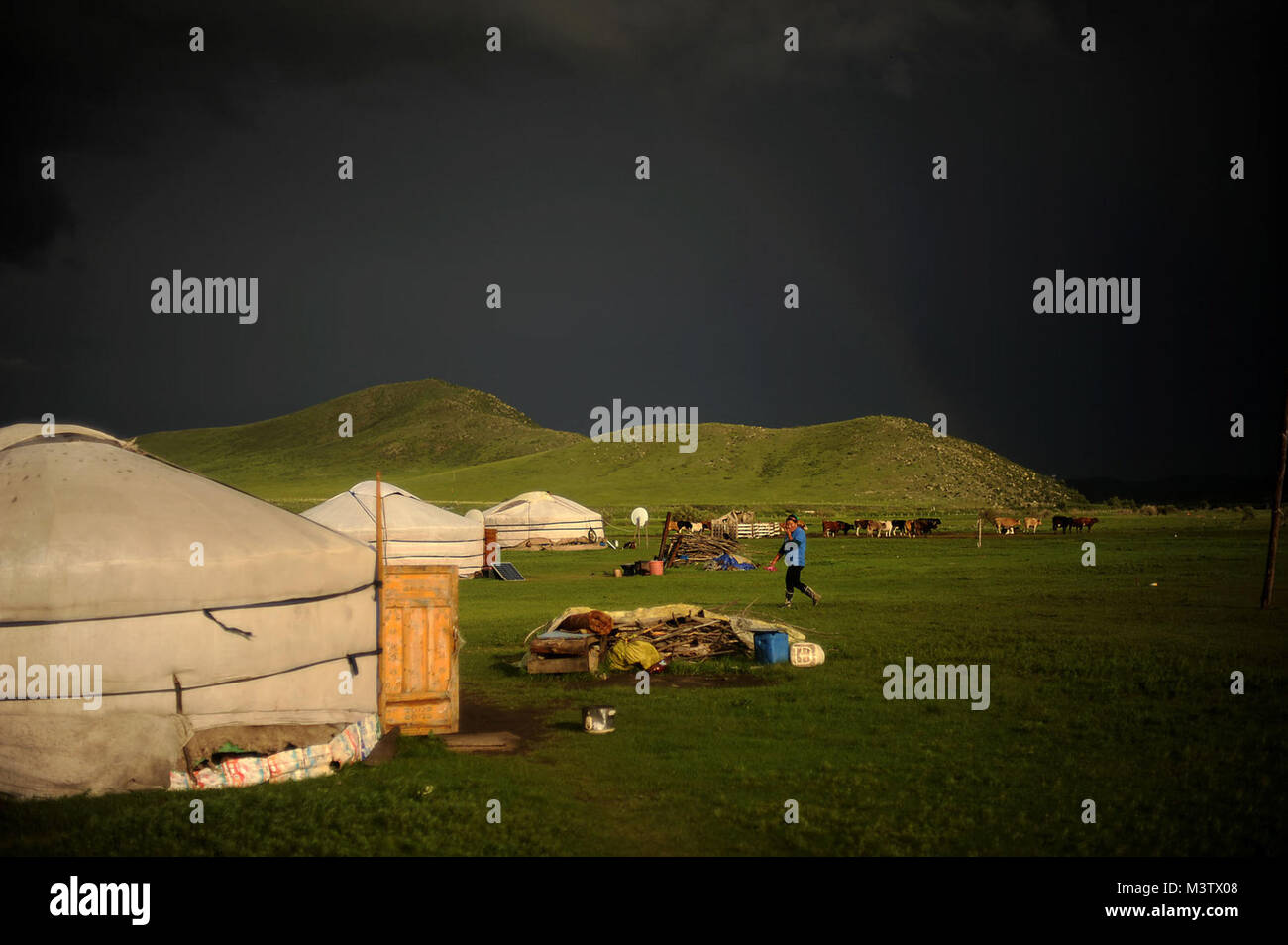 Herders live in a traditional Mongolian dwelling called a Ger. It is ...