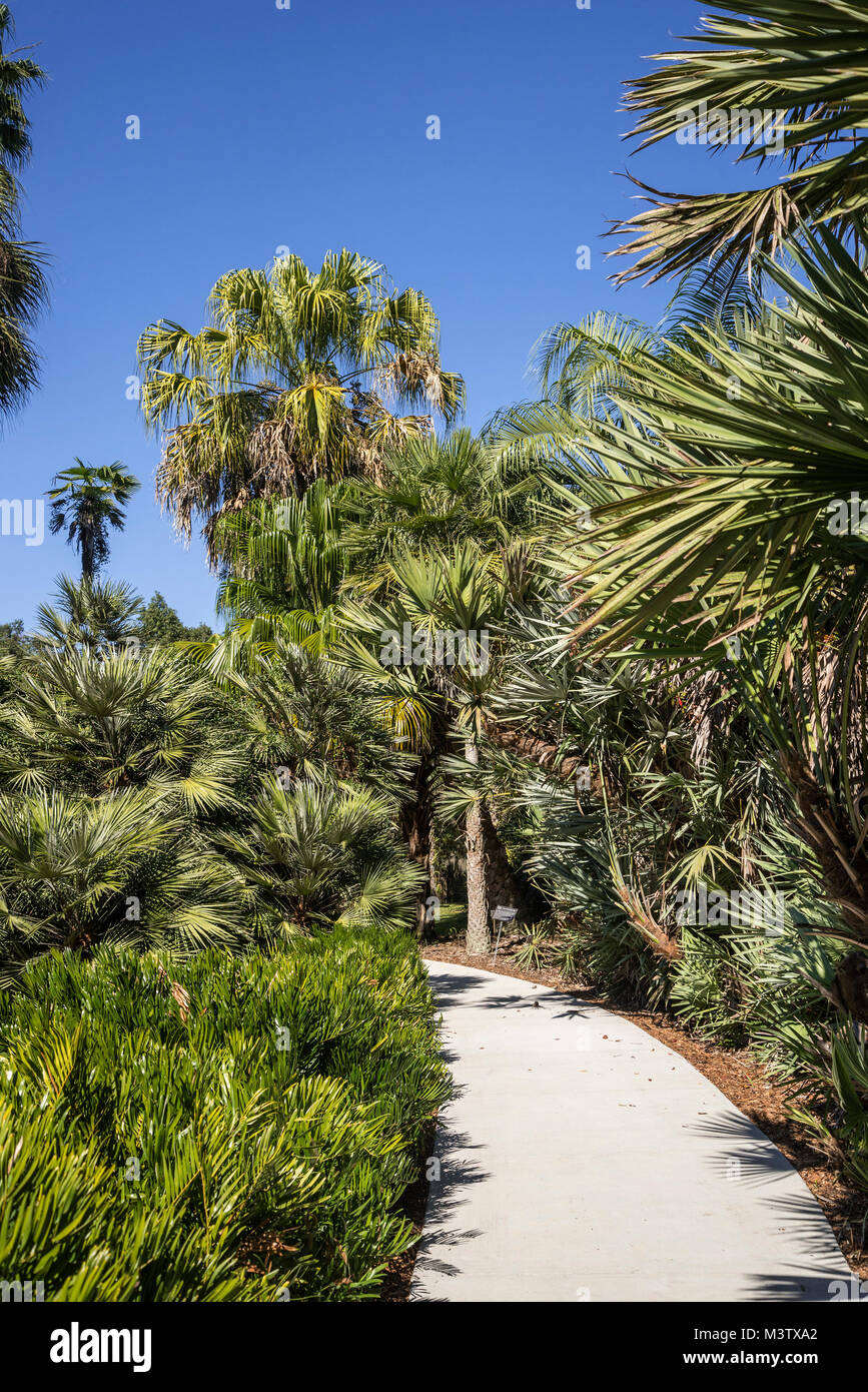 Nature scenes in a North Florida garden setting Stock Photo - Alamy