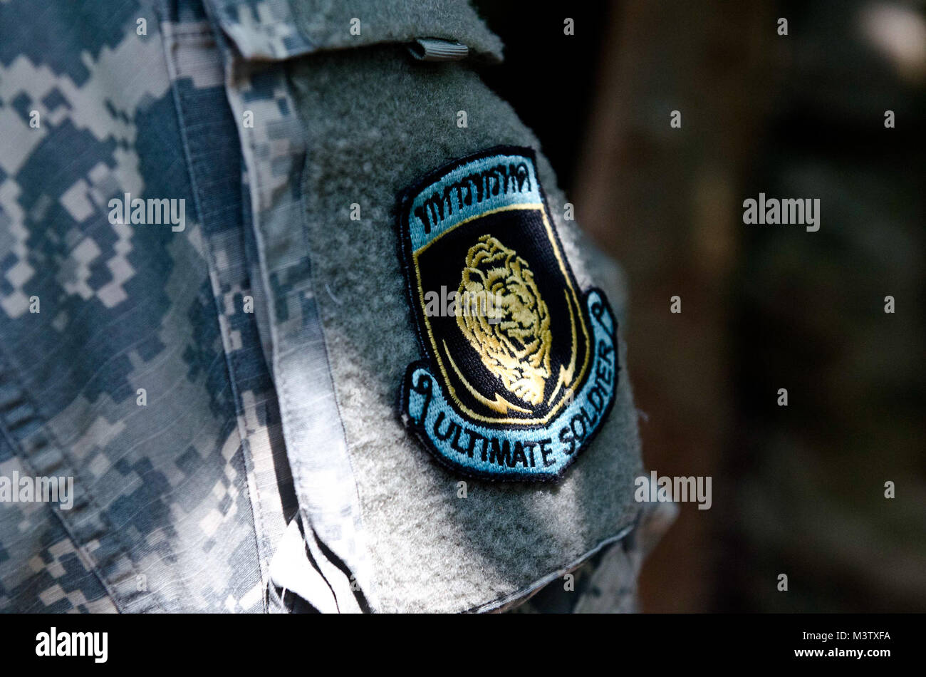 DSC 3467 by 1-2 Stryker Brigade Combat Team Stock Photo - Alamy